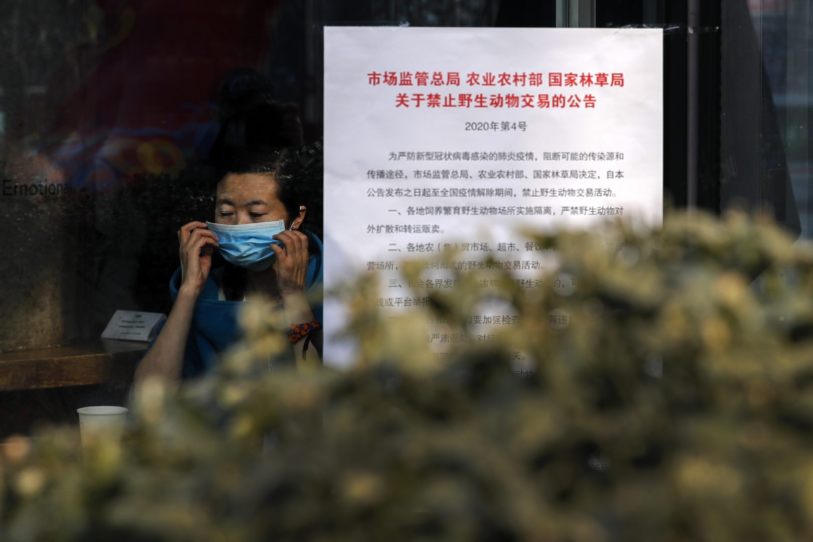 Beijing takes direct control over coronavirus response in Hubei ...