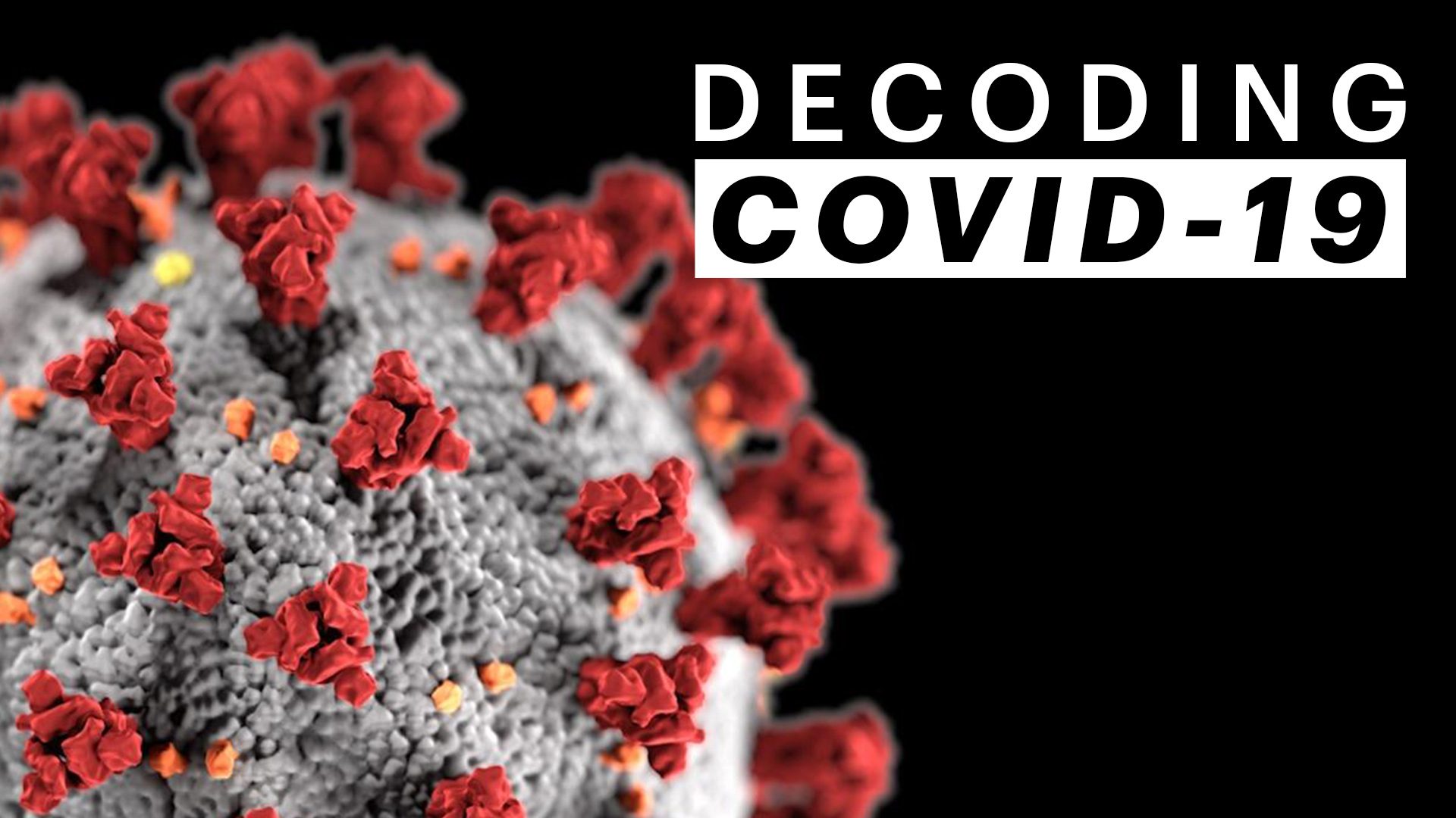 Decoding COVID-19 on NOVA | WITF