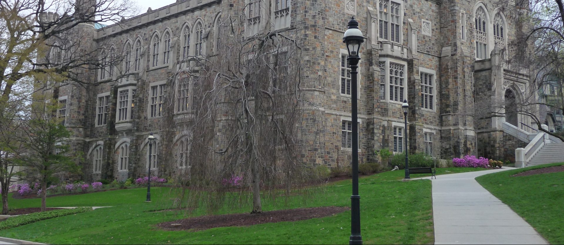 Lehigh University revokes President Trump’s honorary degree | WITF