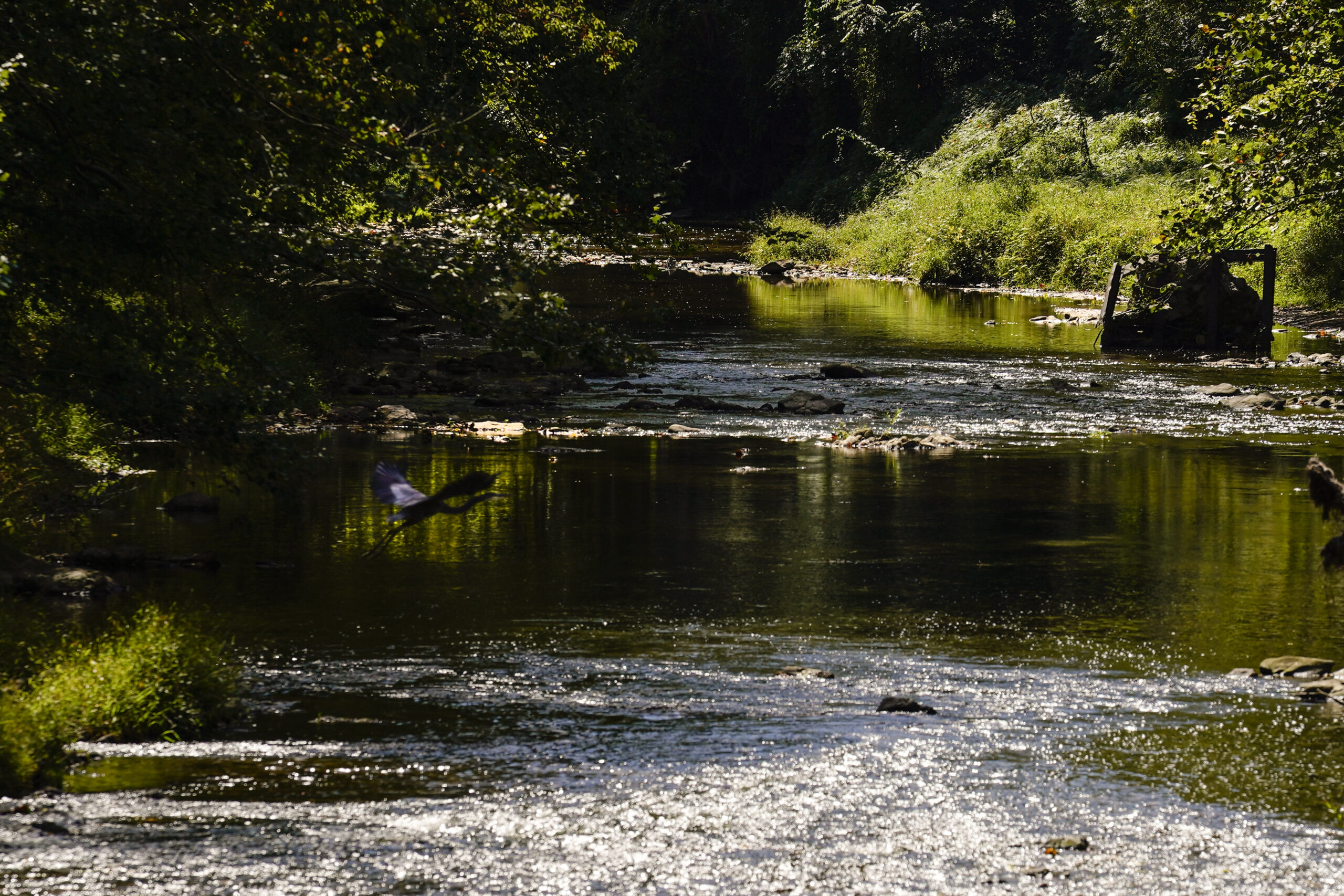 Pennsylvania spending $45 million to establish 3 new state parks | WITF