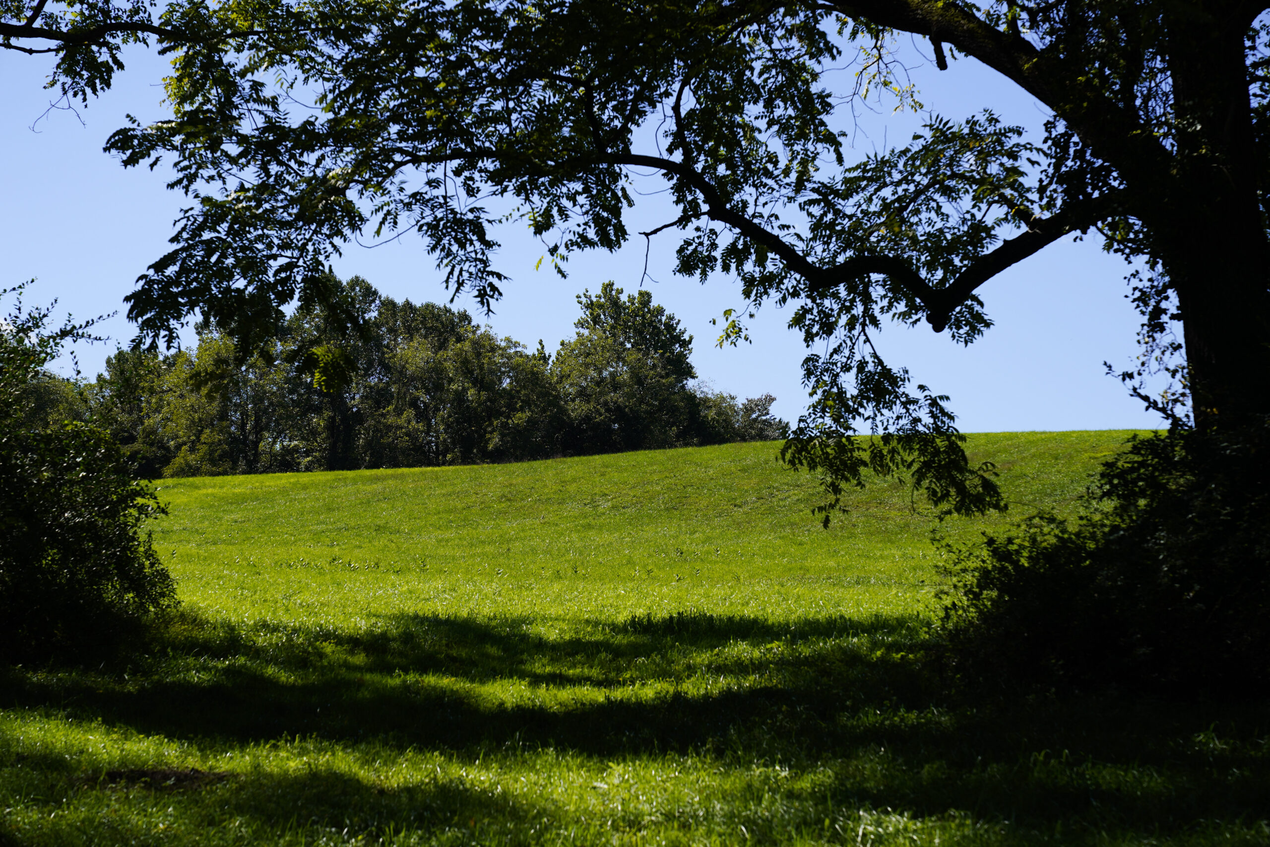 Pennsylvania spending $45 million to establish 3 new state parks | WITF