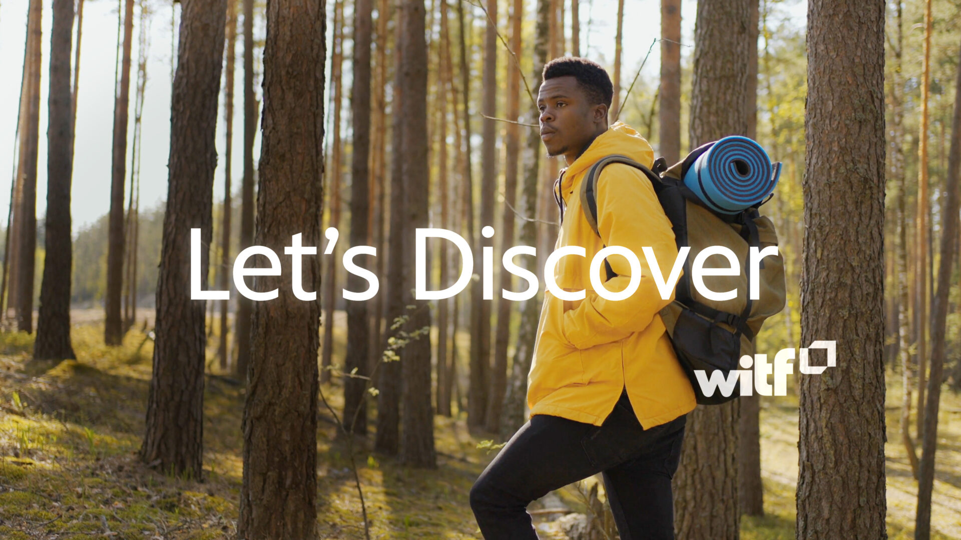 The Next Step of the WITF Journey | WITF