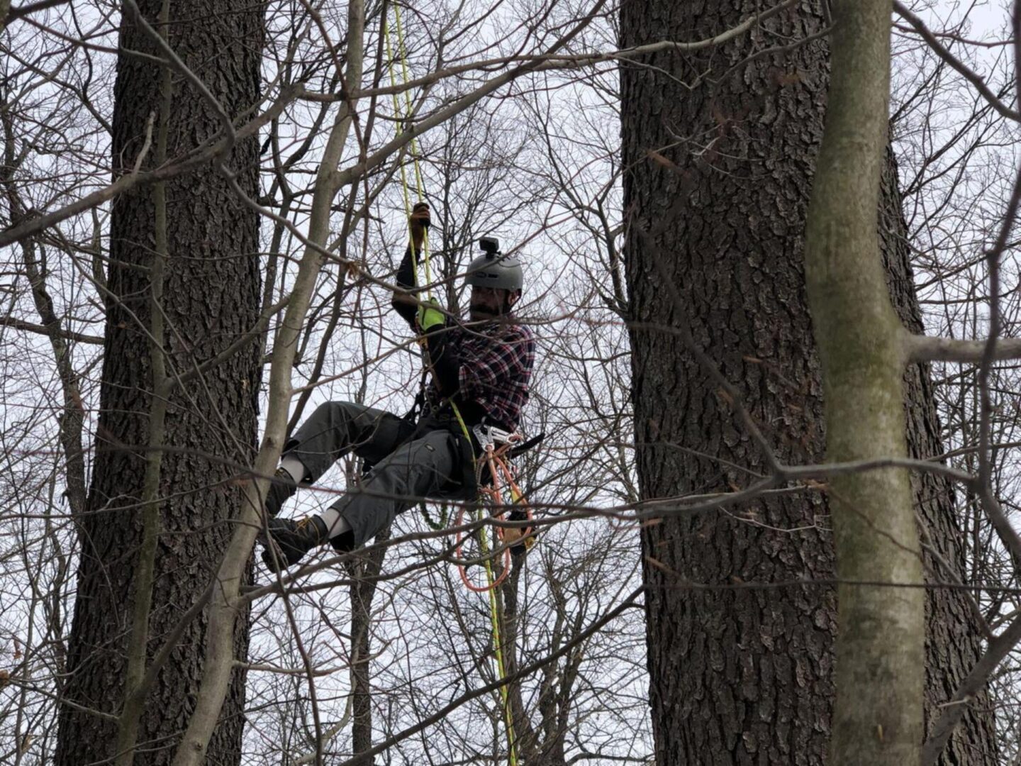 Danville man is climbing tallest trees in all 67 Pennsylvania counties ...