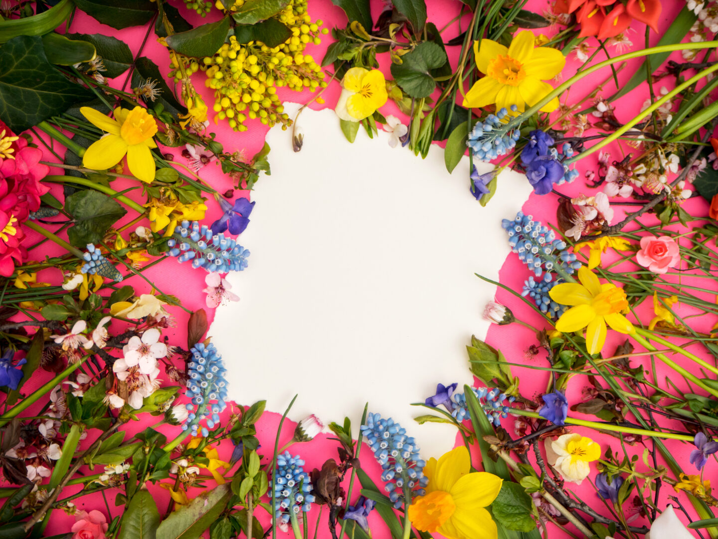 Late April gardening | The Spark