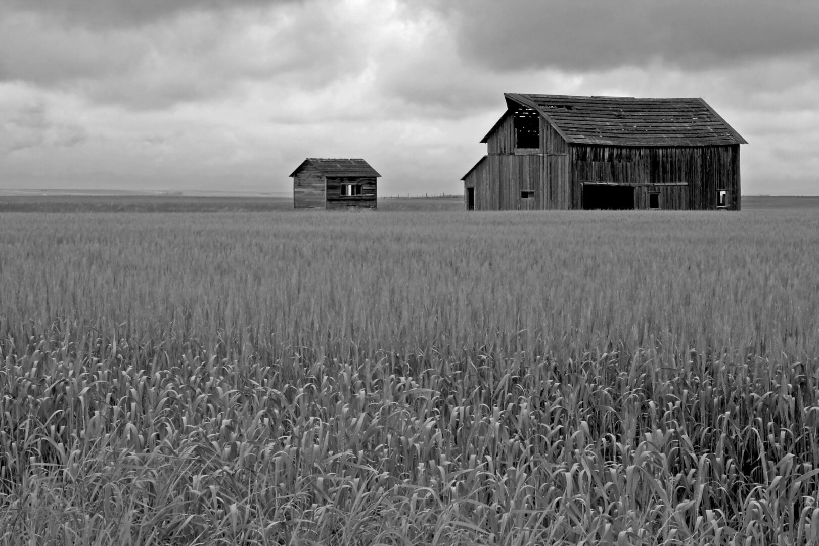 Driving tour of historic Lancaster County barns in the works | The Spark