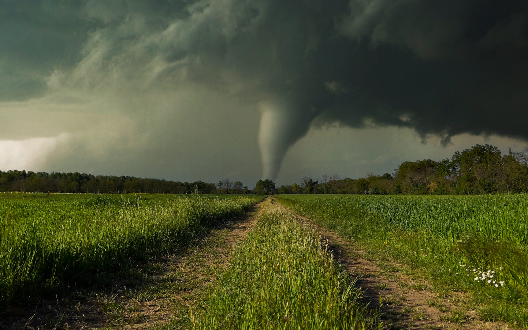 Ef1 Tornado