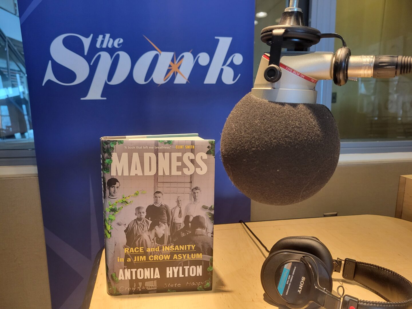 NBC's Antonia Hylton on her new book about race and mental illness ...