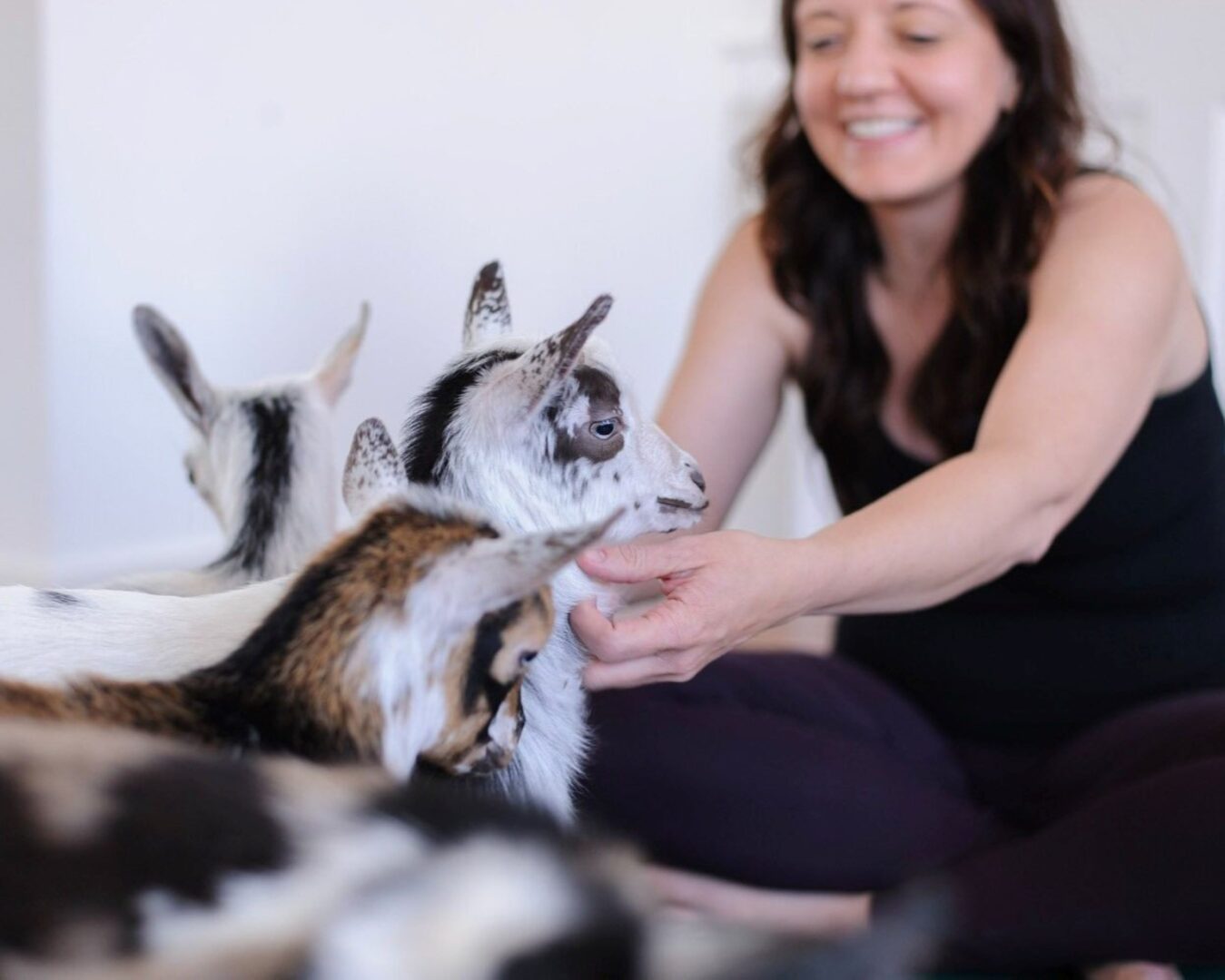 Goat Yoga?! A deep dive into the latest yoga trend | The Spark